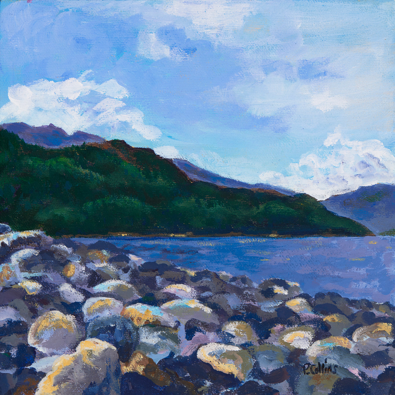 Rocky Shore – PEGGIE COLLINS ARTIST